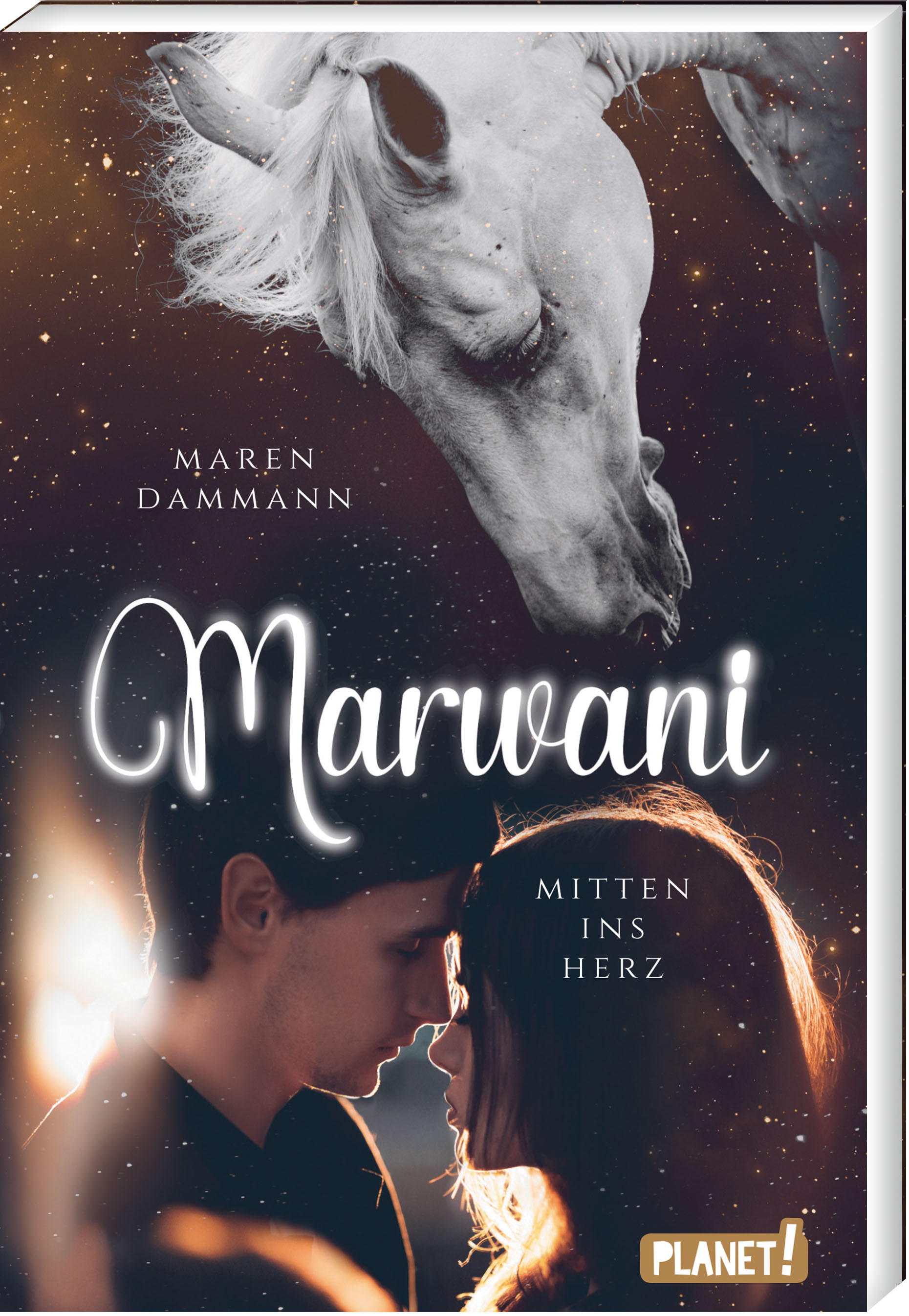 Rezension: "Marwani - Mitten ins Herz" von Maren Dammann - Roman Tipps